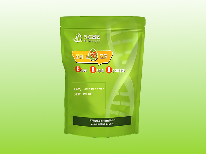 FAM/Biotin Reporter-先达基因